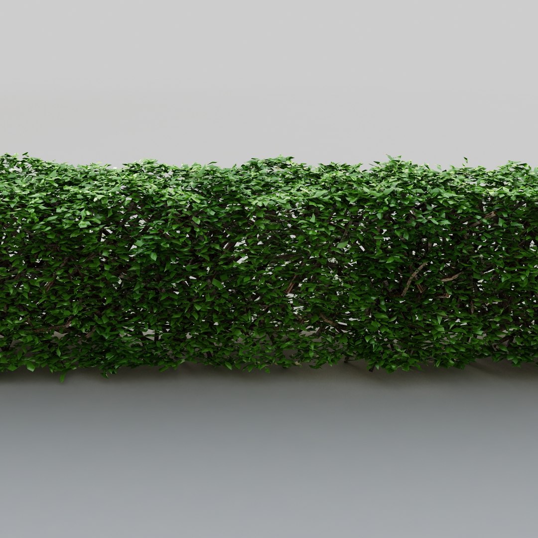 3ds max hedge plant gardens