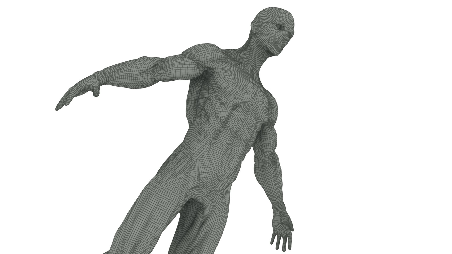 Realistic Human Musculature Model - TurboSquid 1463209