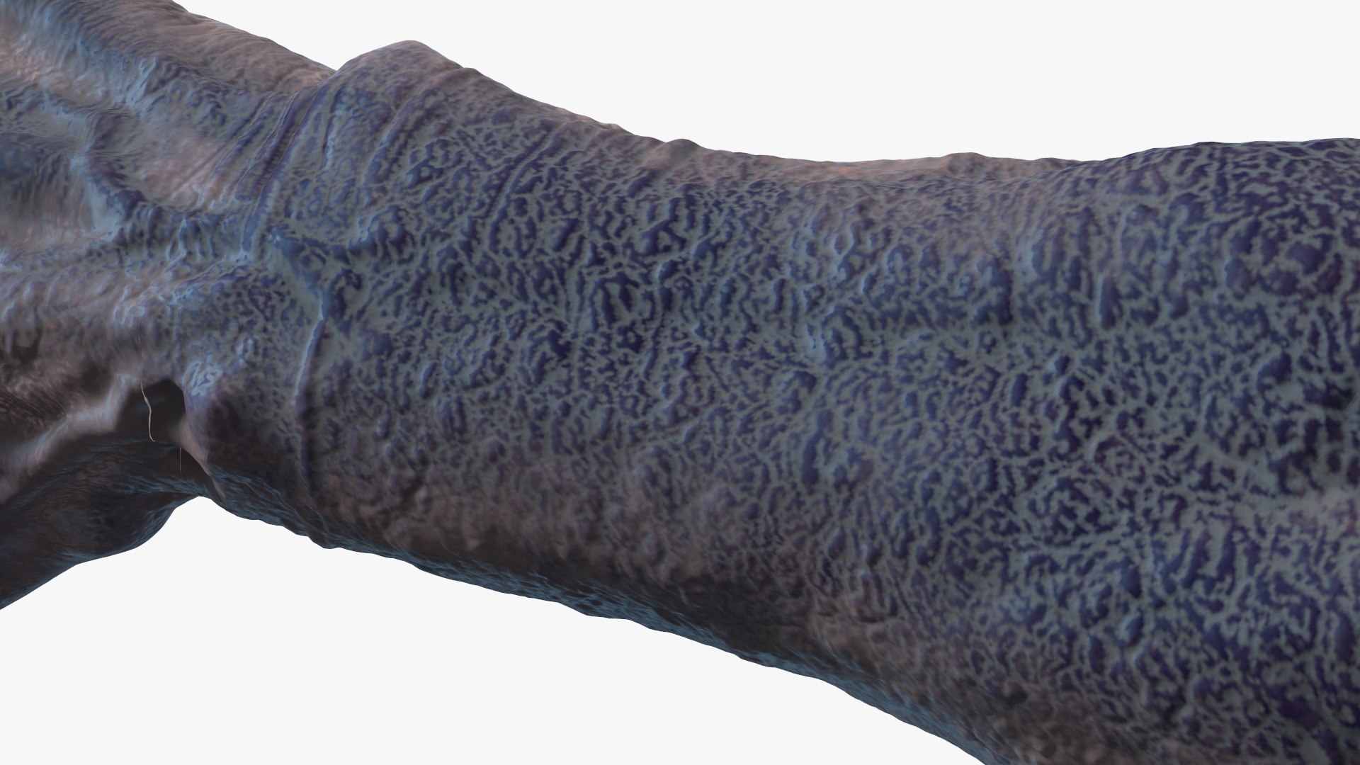 Monster creature arm model - TurboSquid 1701502