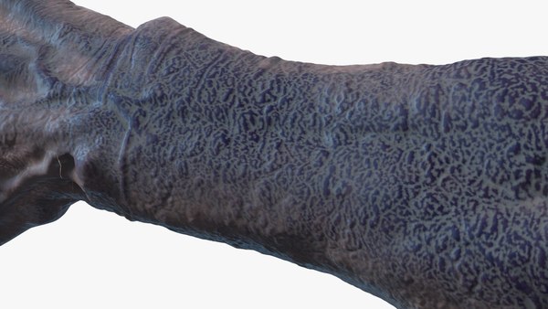 Monster creature arm model - TurboSquid 1701502