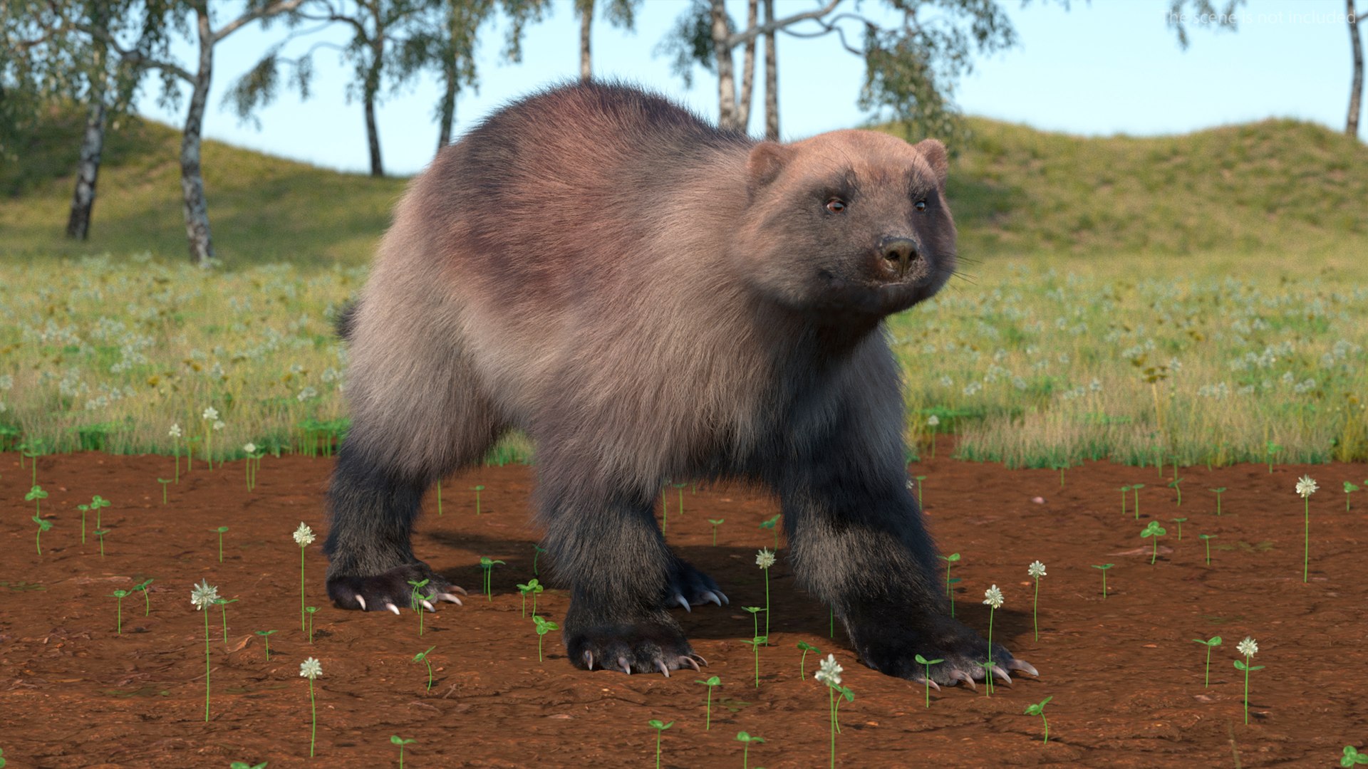 3D model Wolverine Light Color Walking Pose Fur - TurboSquid 2157759