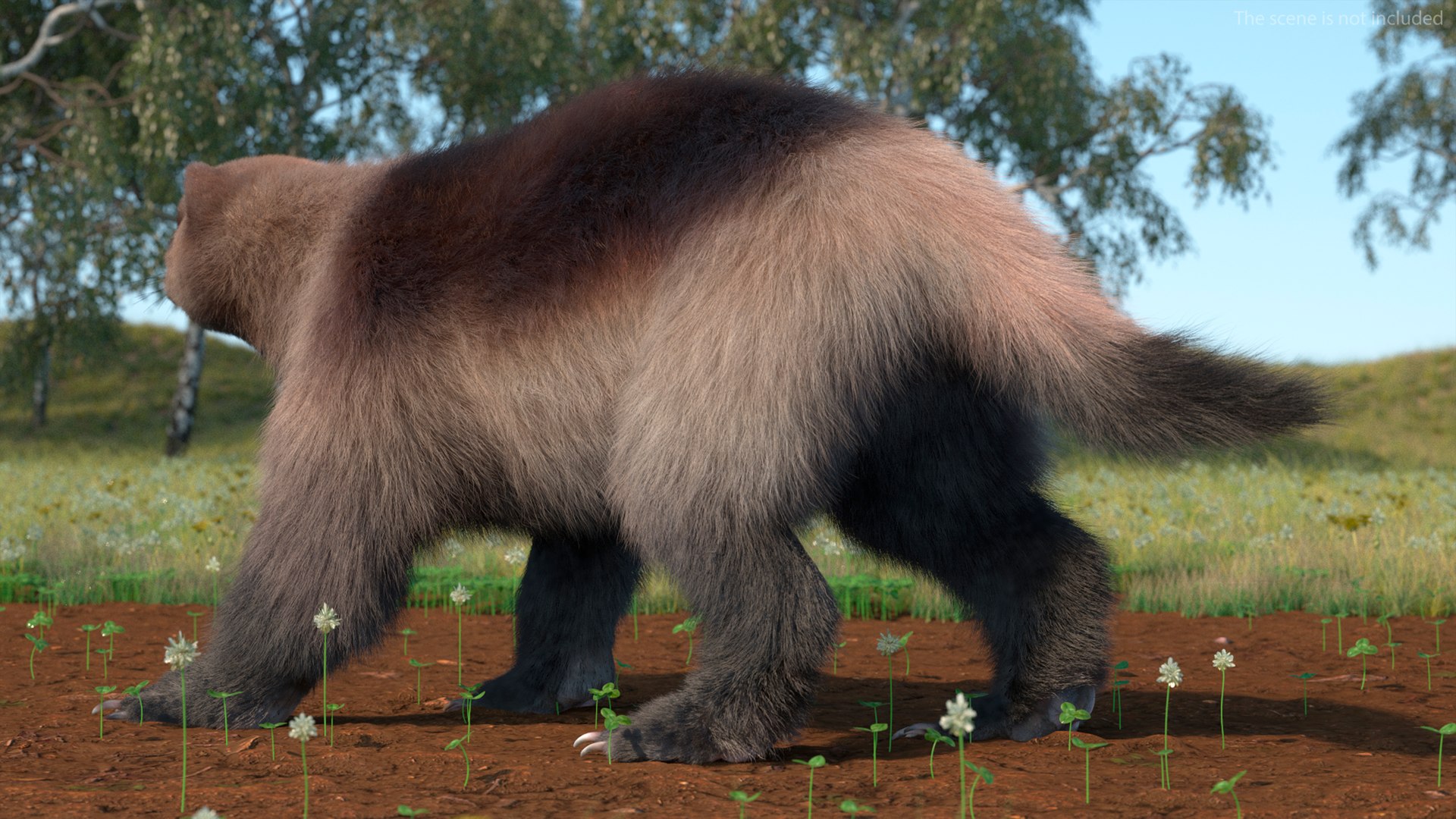 3D model Wolverine Light Color Walking Pose Fur - TurboSquid 2157759