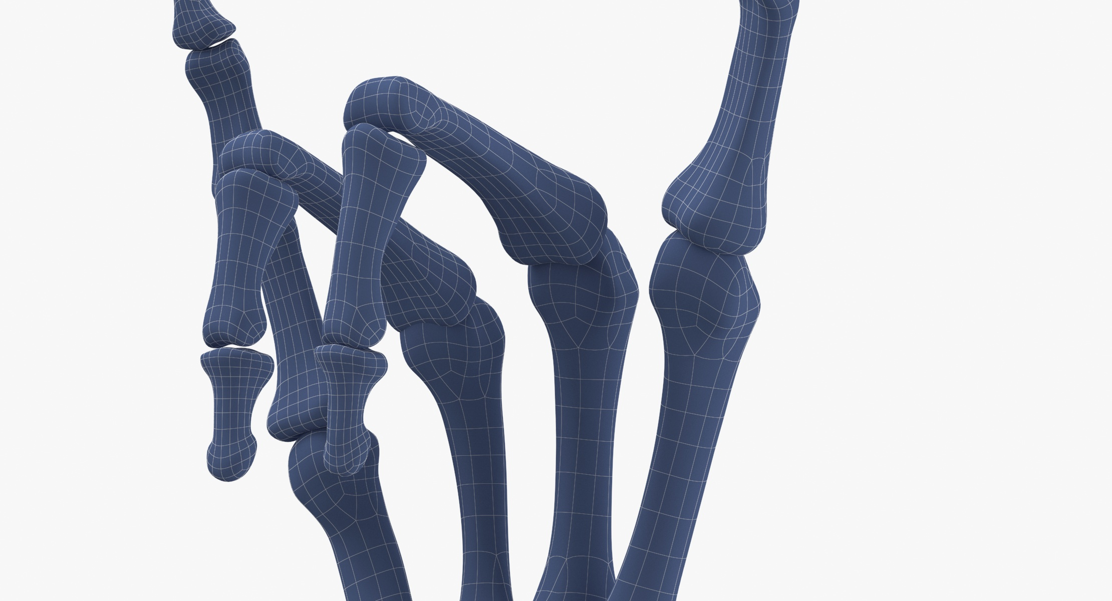 3D model human hand bones white - TurboSquid 1608874