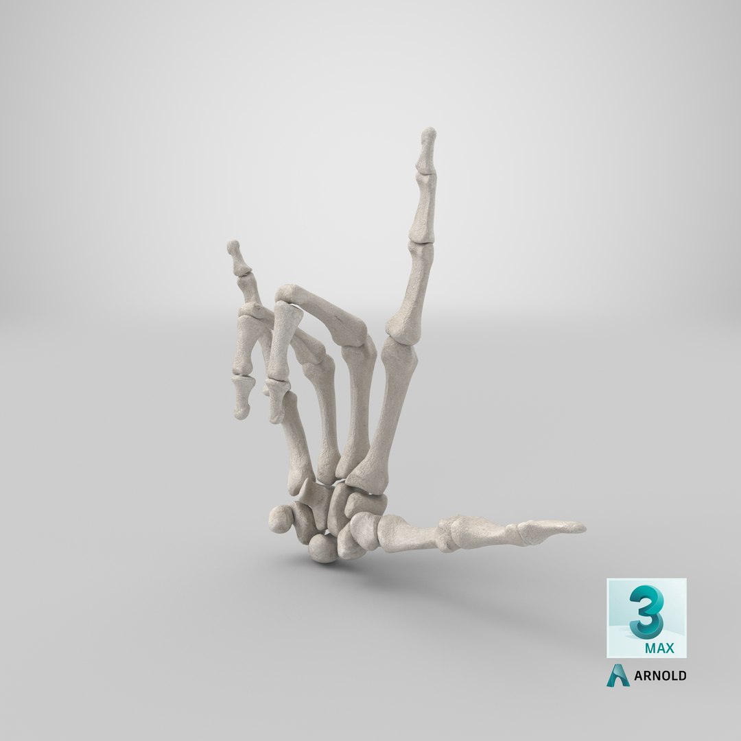 3D Model Human Hand Bones White - TurboSquid 1608874