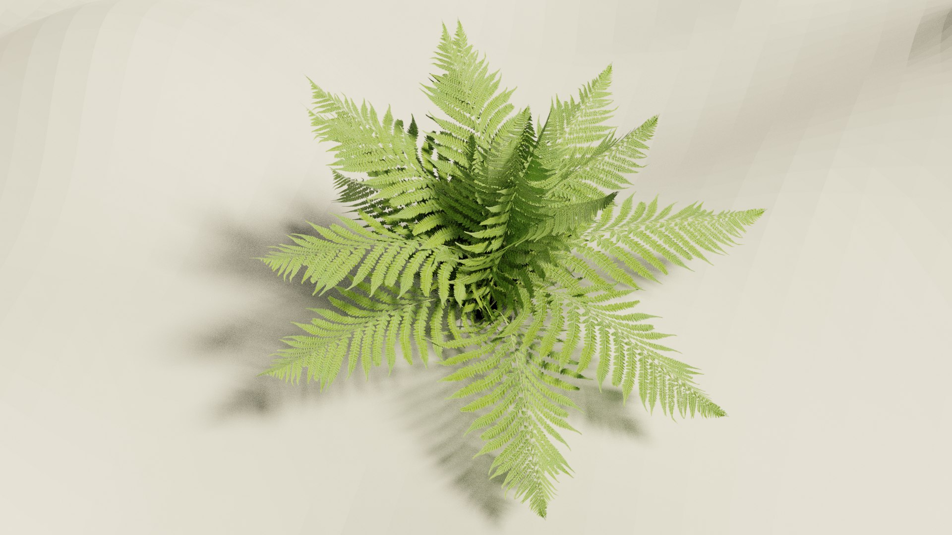 3D Farn - TurboSquid 1790543