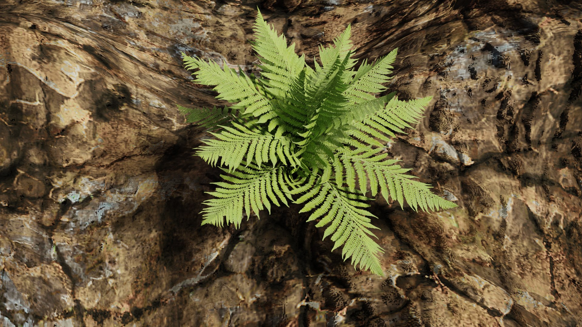 3D Farn - TurboSquid 1790543