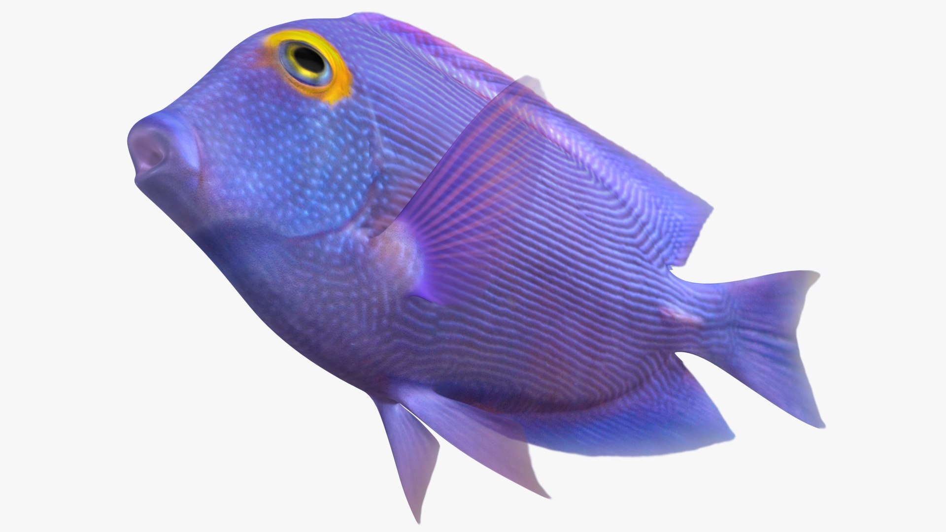 Kole Tang Animation Bones 3D Model - TurboSquid 1510269