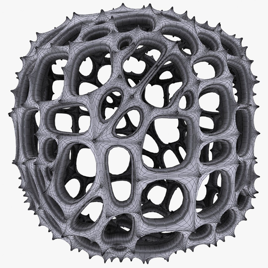 3d Complex Shape Model