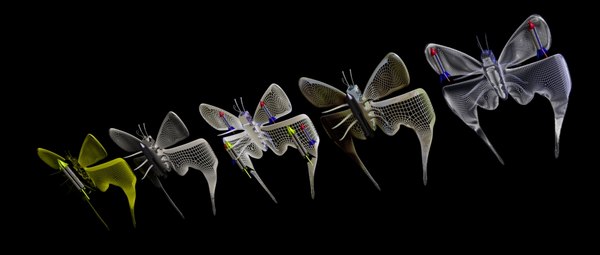 Free 3D Butterfly Models | TurboSquid