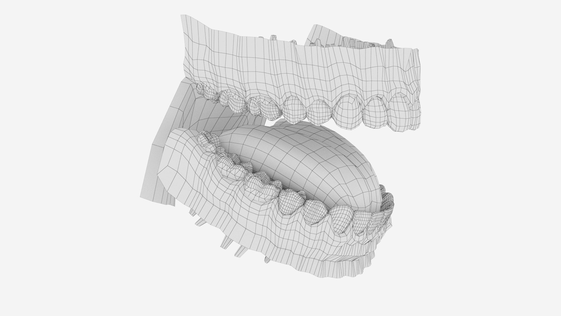 Mouth teeth set adult model - TurboSquid 1619000