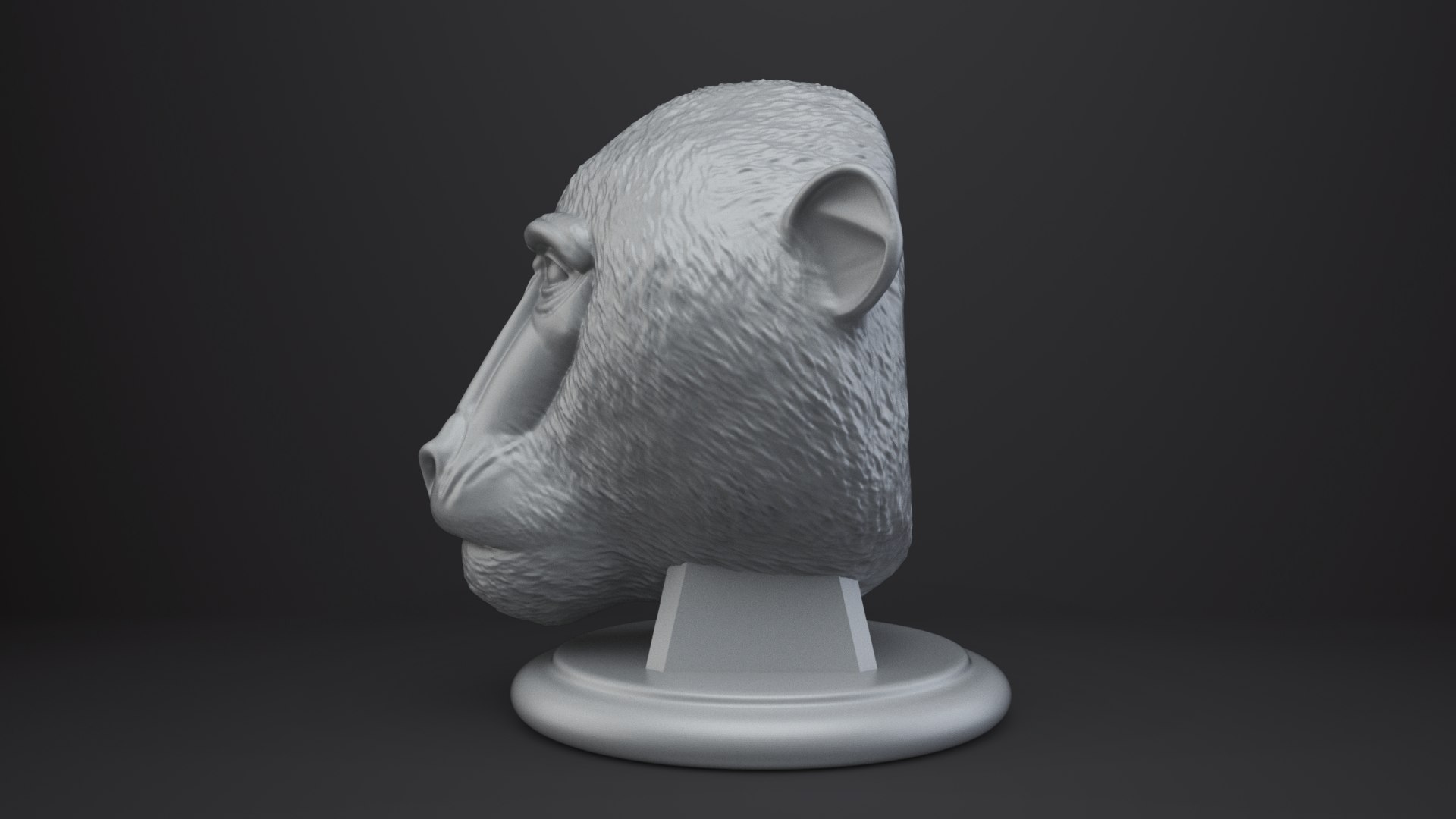 Baboon Bust - Animal Figurine 3D Model - TurboSquid 2488721