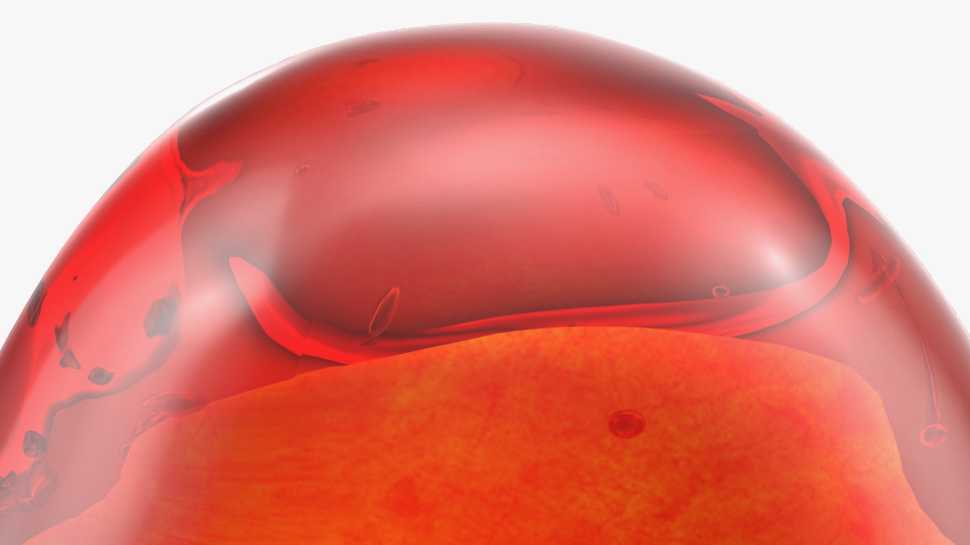 Amber Resin 3D Model - TurboSquid 1879411