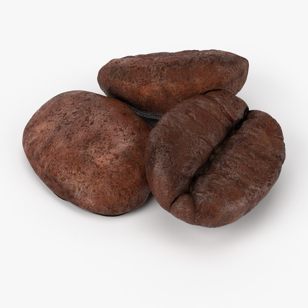 Realistic Coffee Beans 3d Max