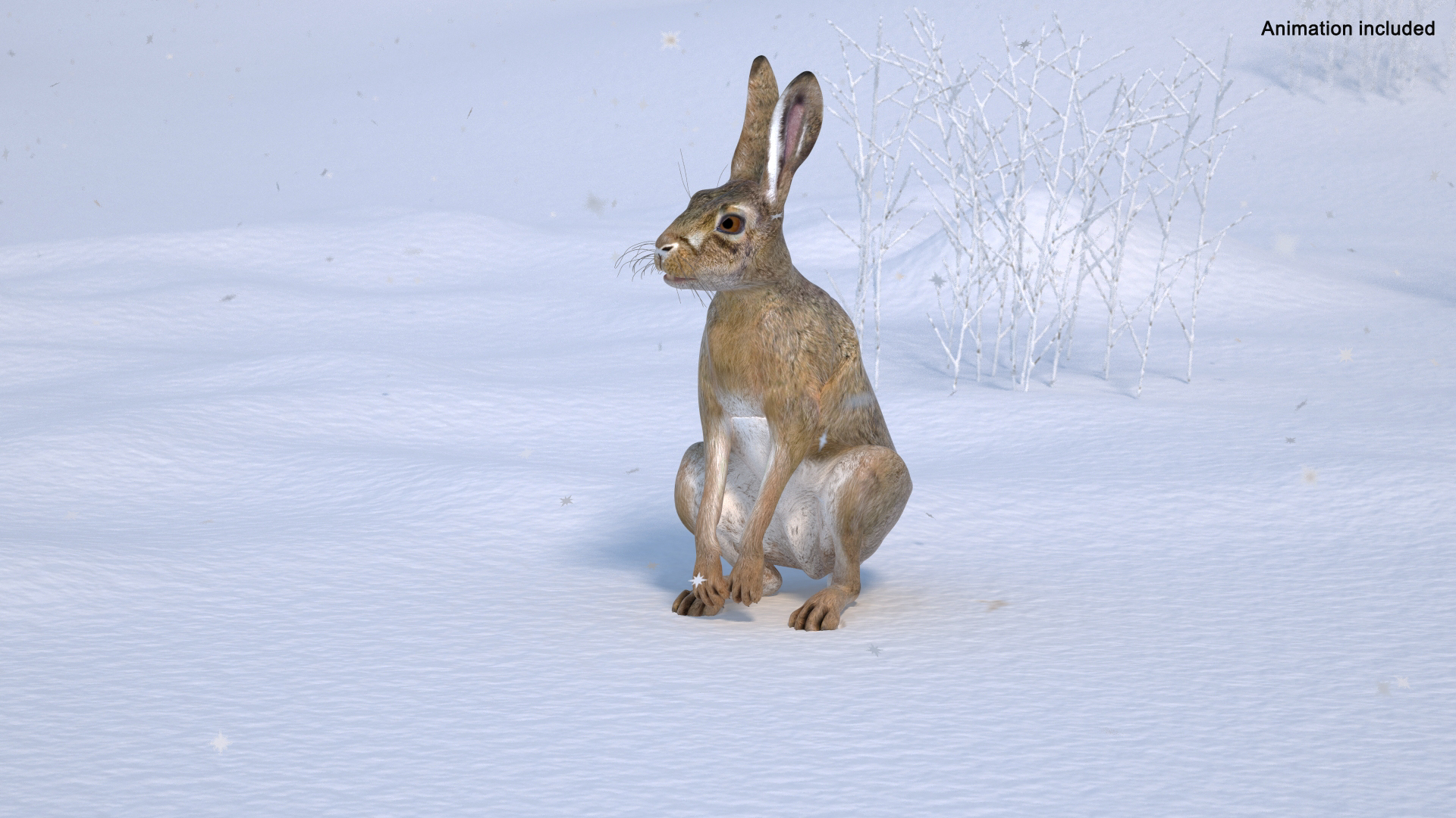 Hare Animated Rigged 3D Model - TurboSquid 2253069