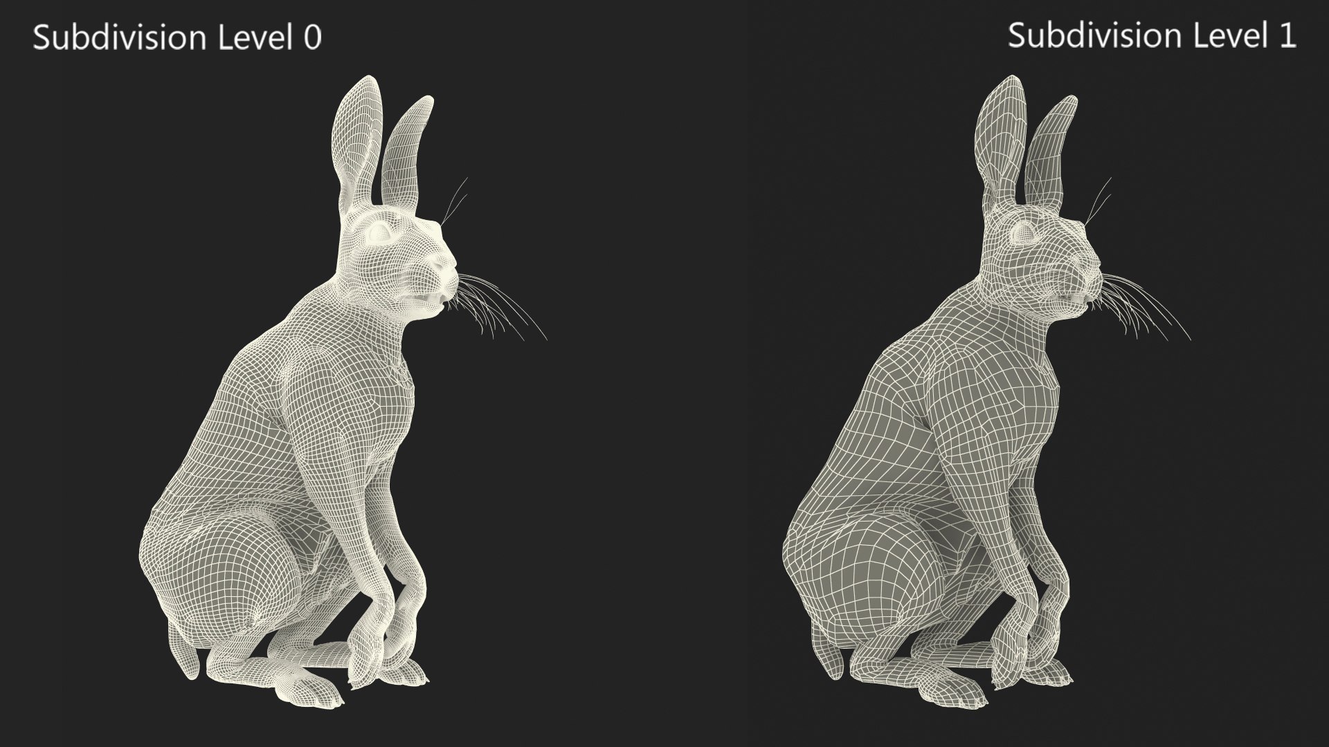 Hare Animated Rigged 3D Model - TurboSquid 2253069