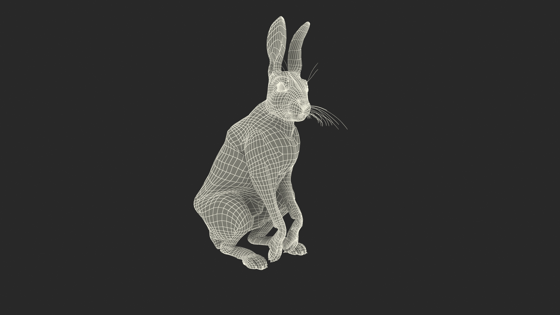 Hare Animated Rigged 3D Model - TurboSquid 2253069
