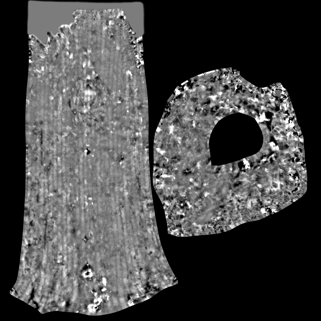 Tree Trunk - 3D Model - TurboSquid 1442606