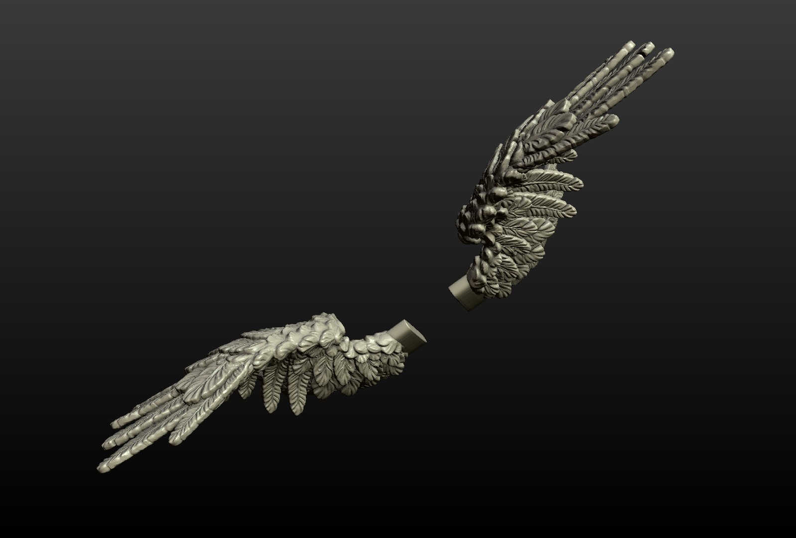 3D Feather Wings - TurboSquid 1180063