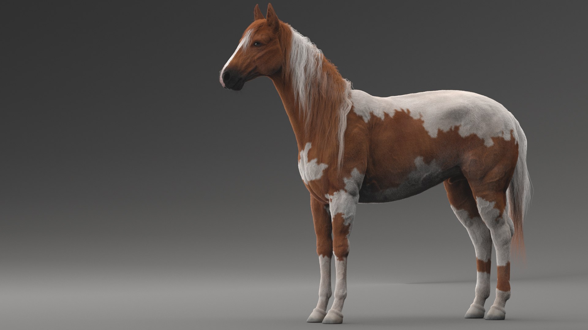 3D Horse ANIMATED - TurboSquid 1870202