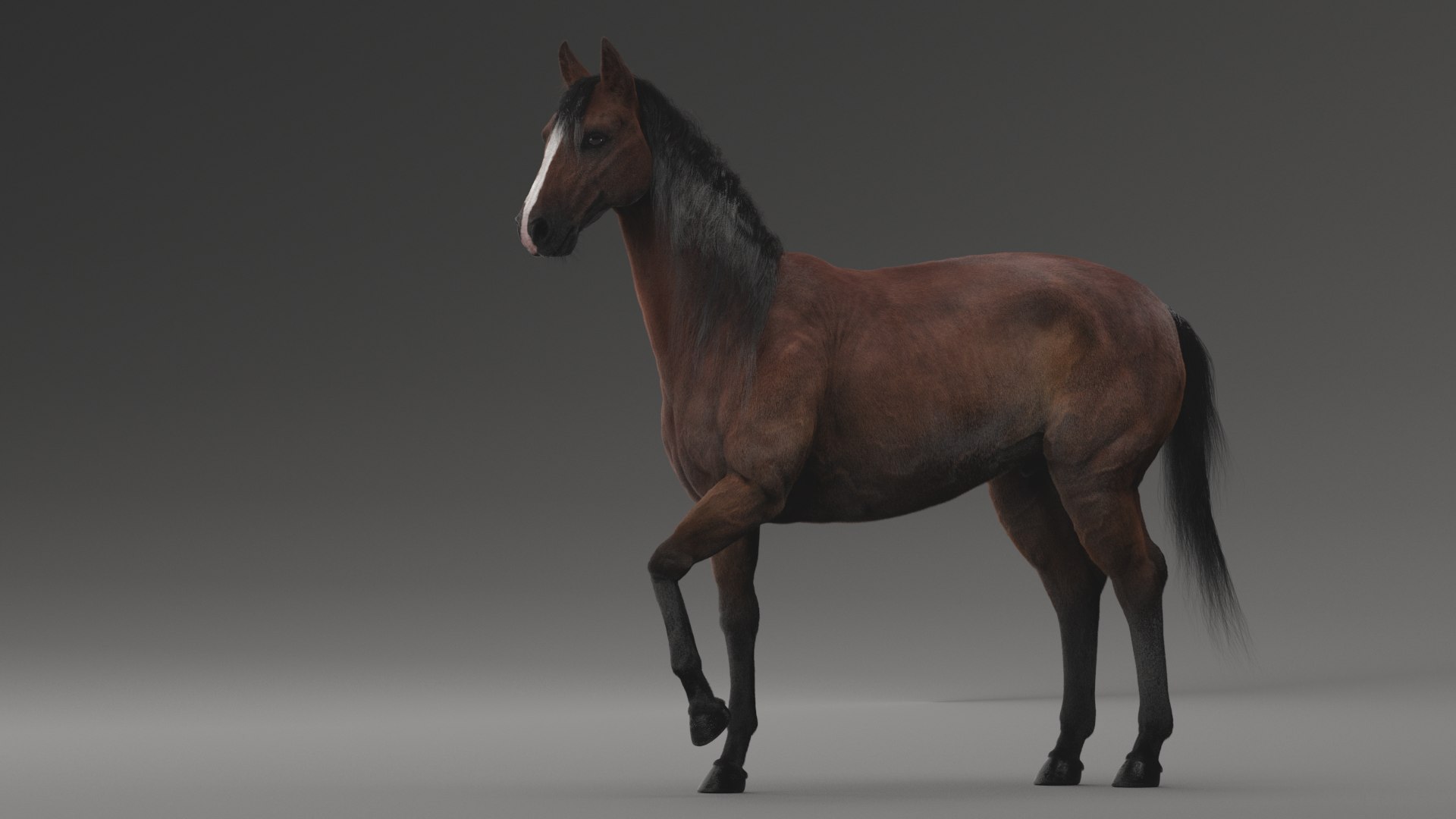 3D Horse ANIMATED - TurboSquid 1870202