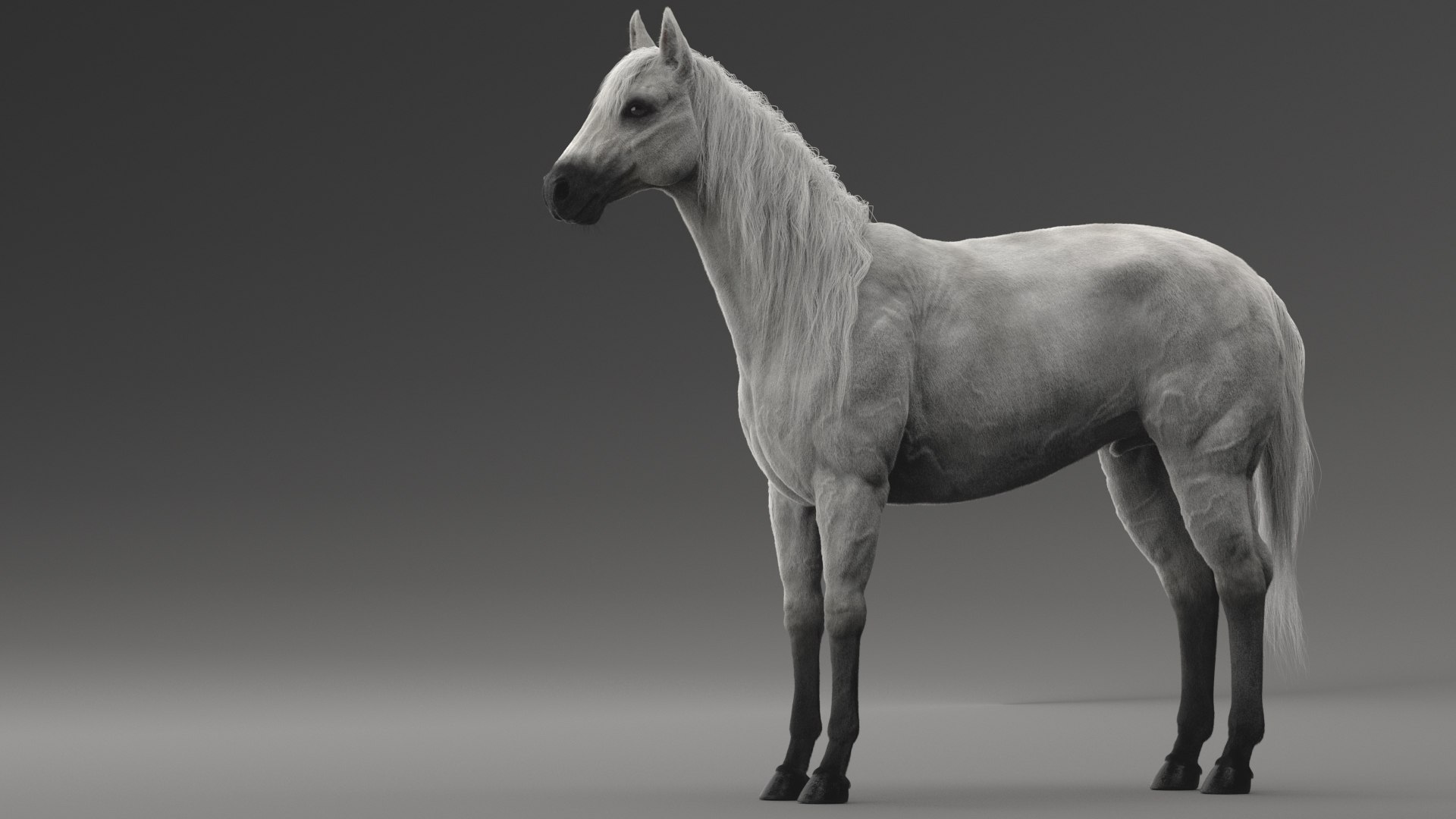 3D Horse ANIMATED - TurboSquid 1870202