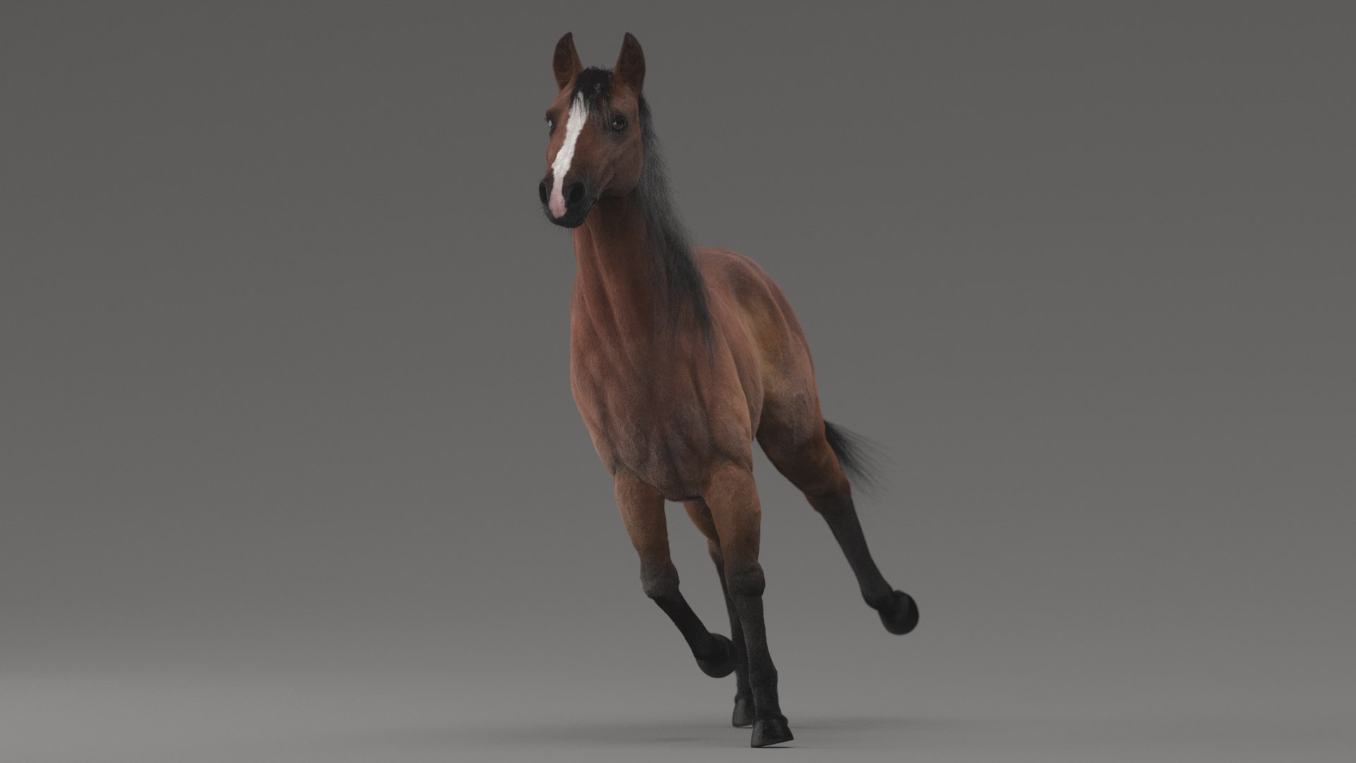 3D Horse ANIMATED - TurboSquid 1870202