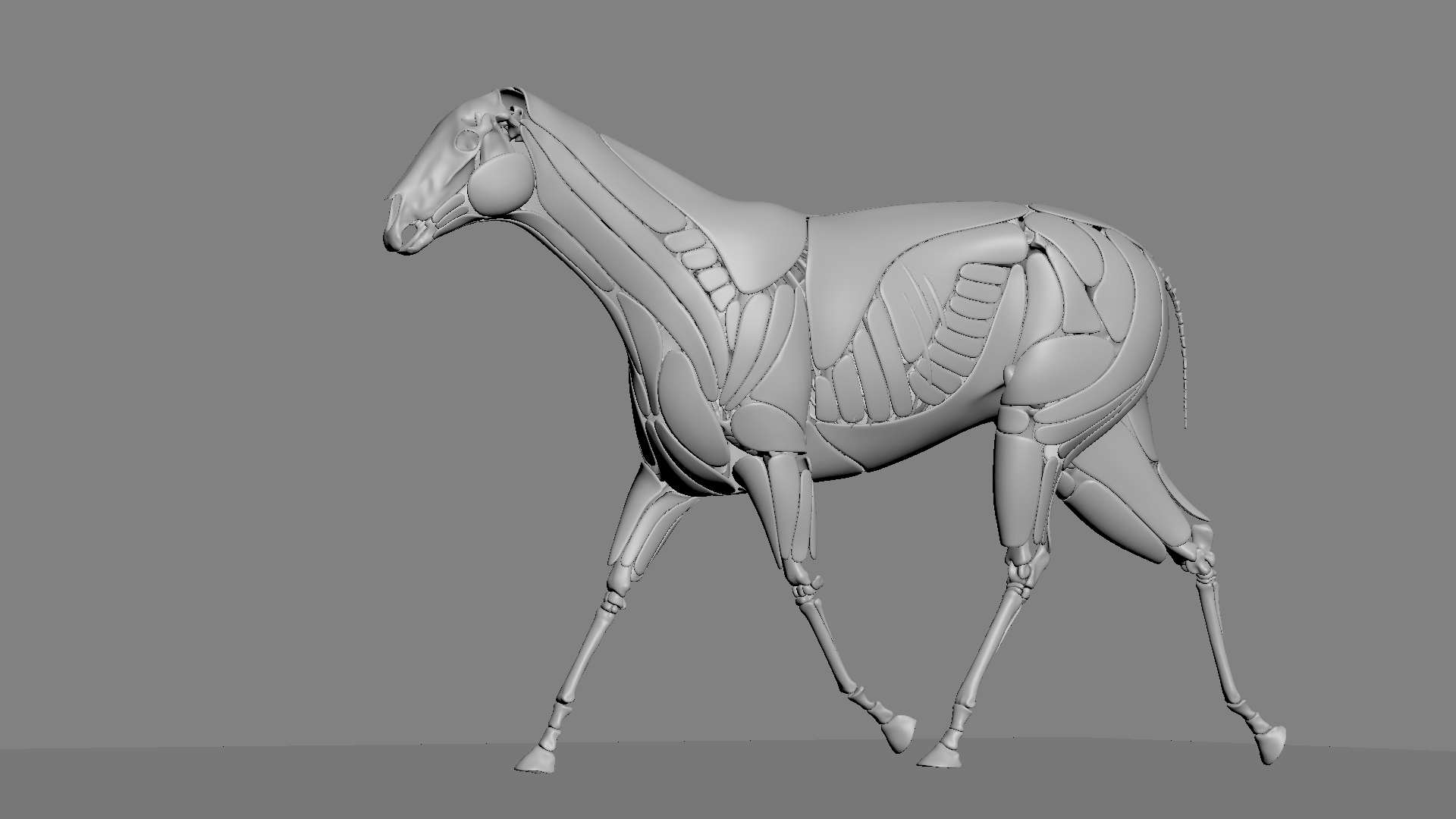 3D Horse ANIMATED - TurboSquid 1870202