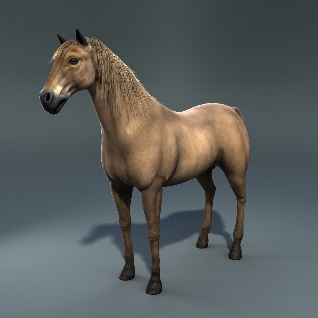 3d horse model