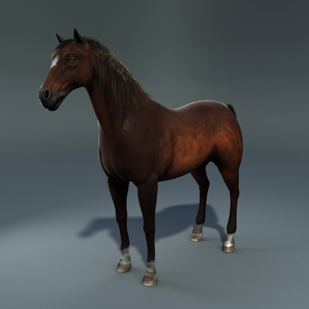 3d horse model