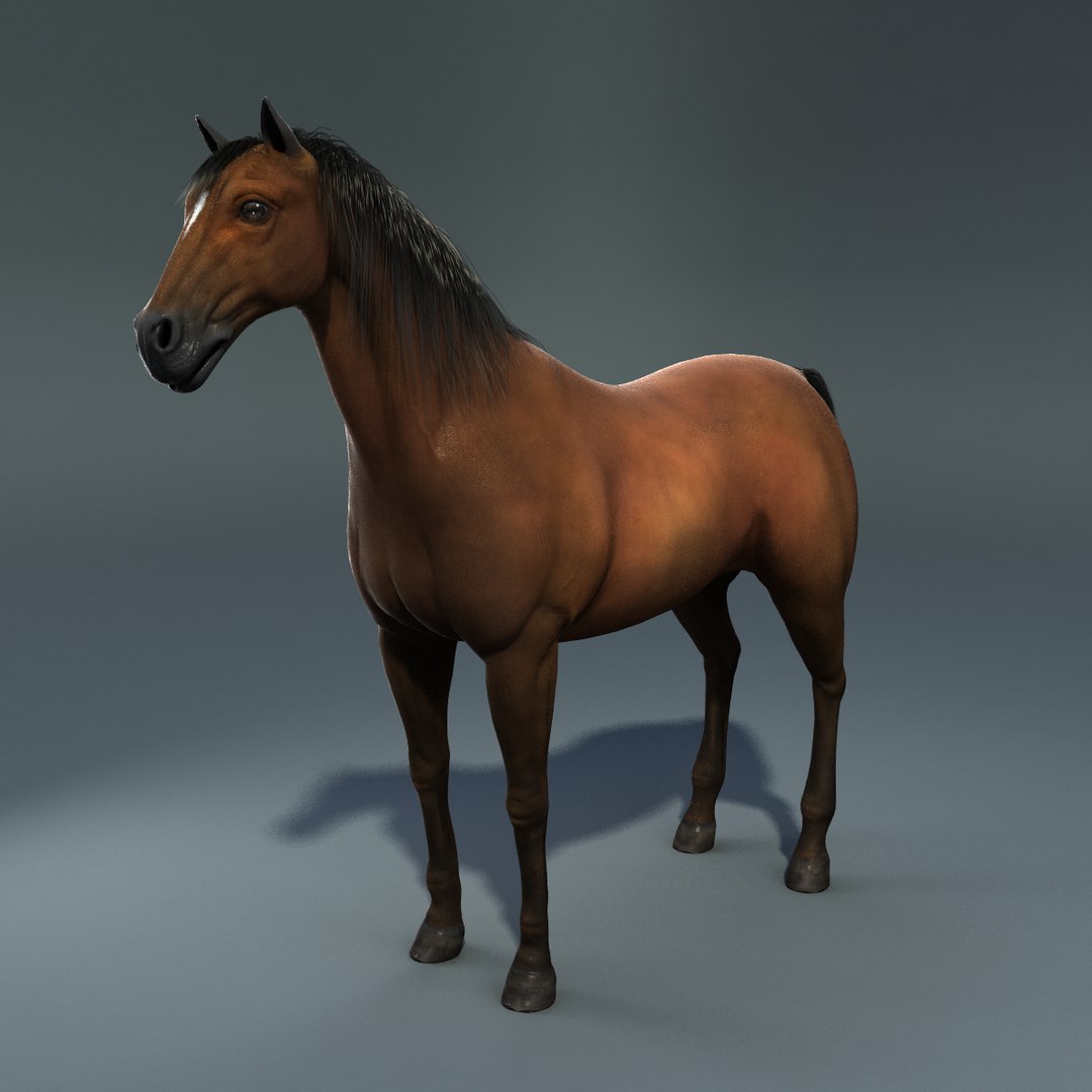 3d horse model