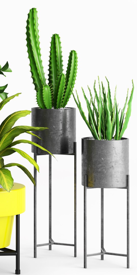 3D Planter Plants Model - TurboSquid 1571124