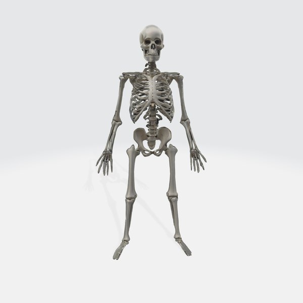 Human Skeleton STL Models for Download | TurboSquid