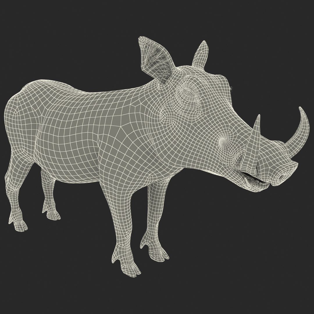 3d common warthog model