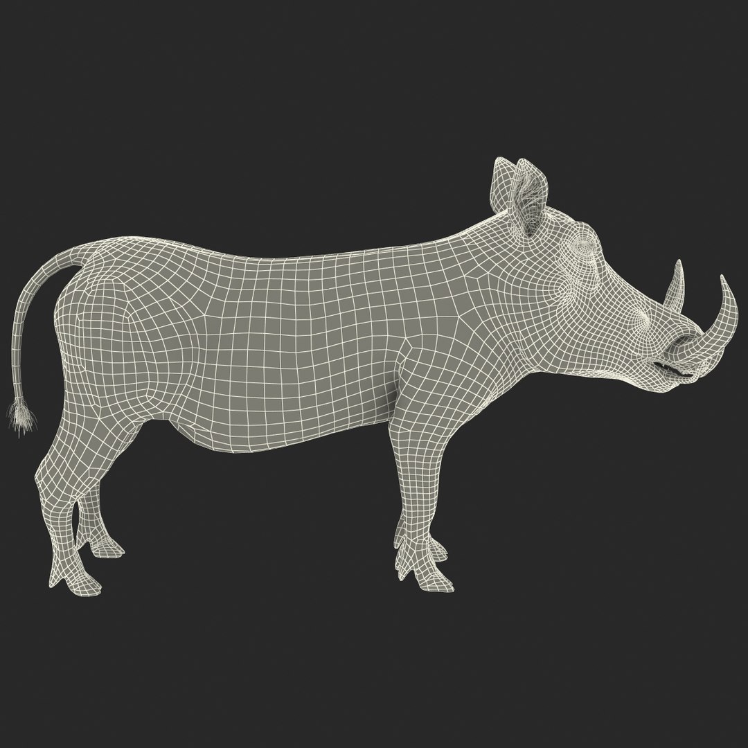 3d common warthog model