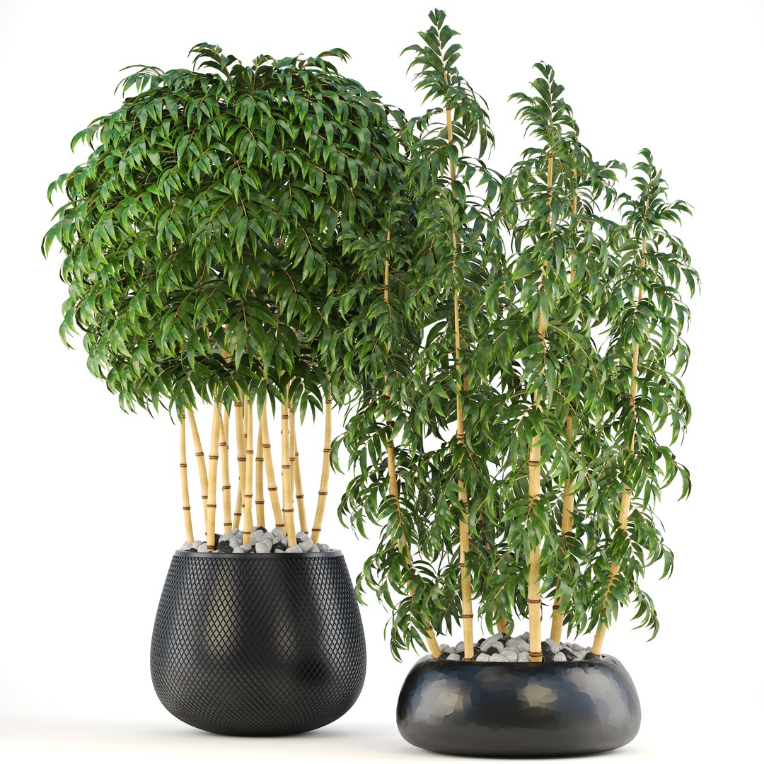 3D golden bamboo trees model - TurboSquid 1229454