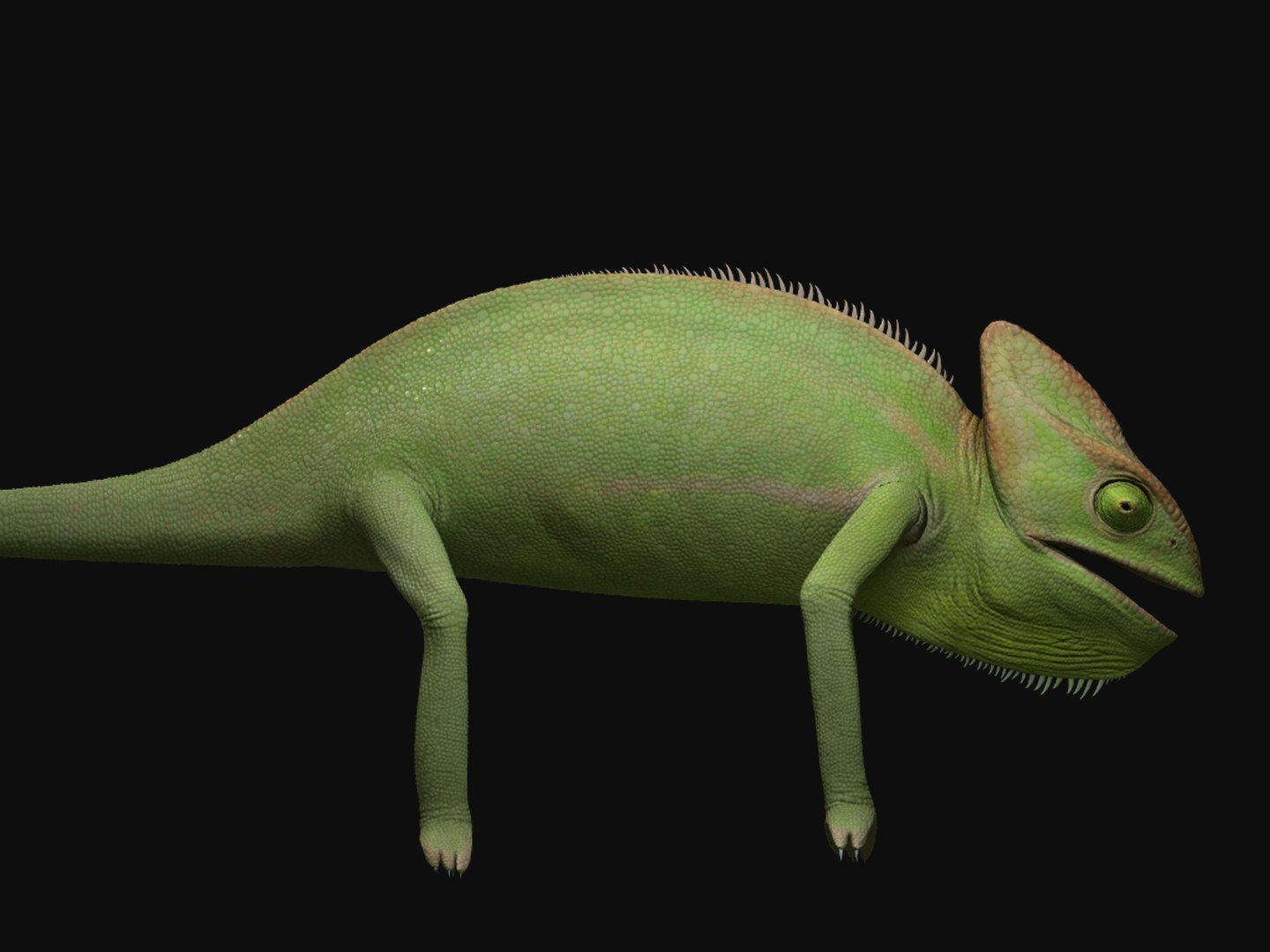 Rig Chameleon Max