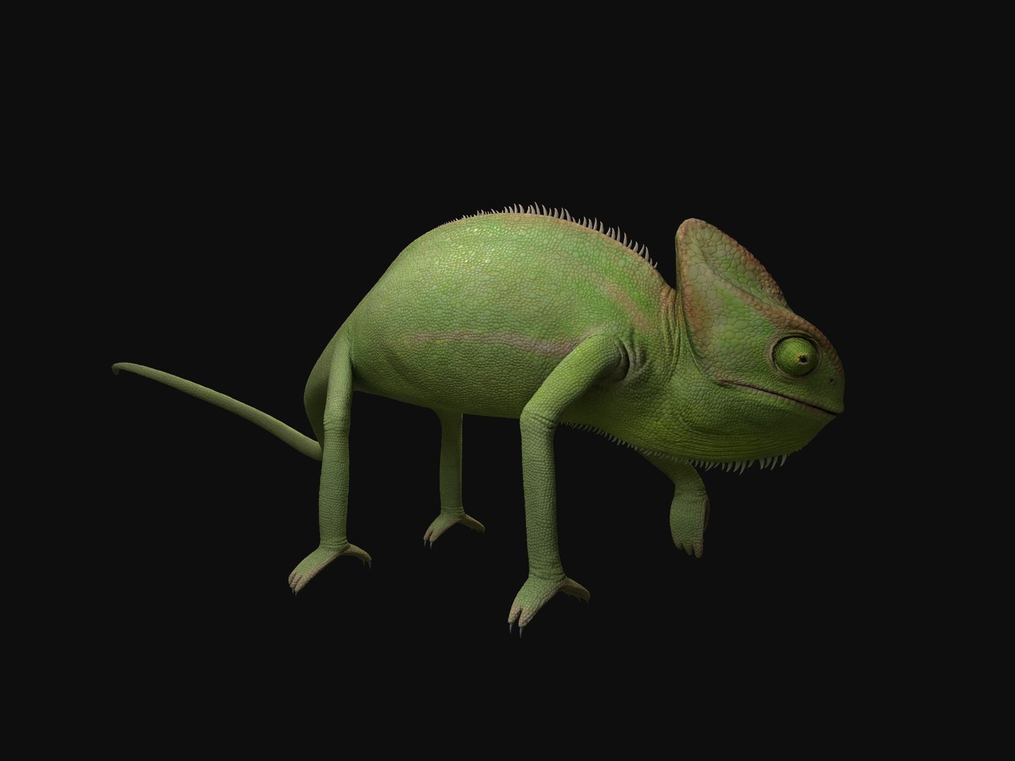 Rig Chameleon Max