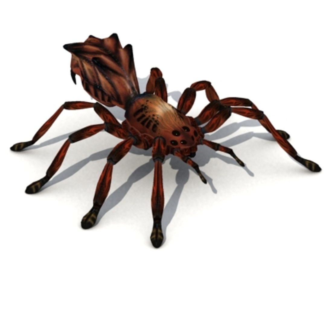 Red Spider 3d Max
