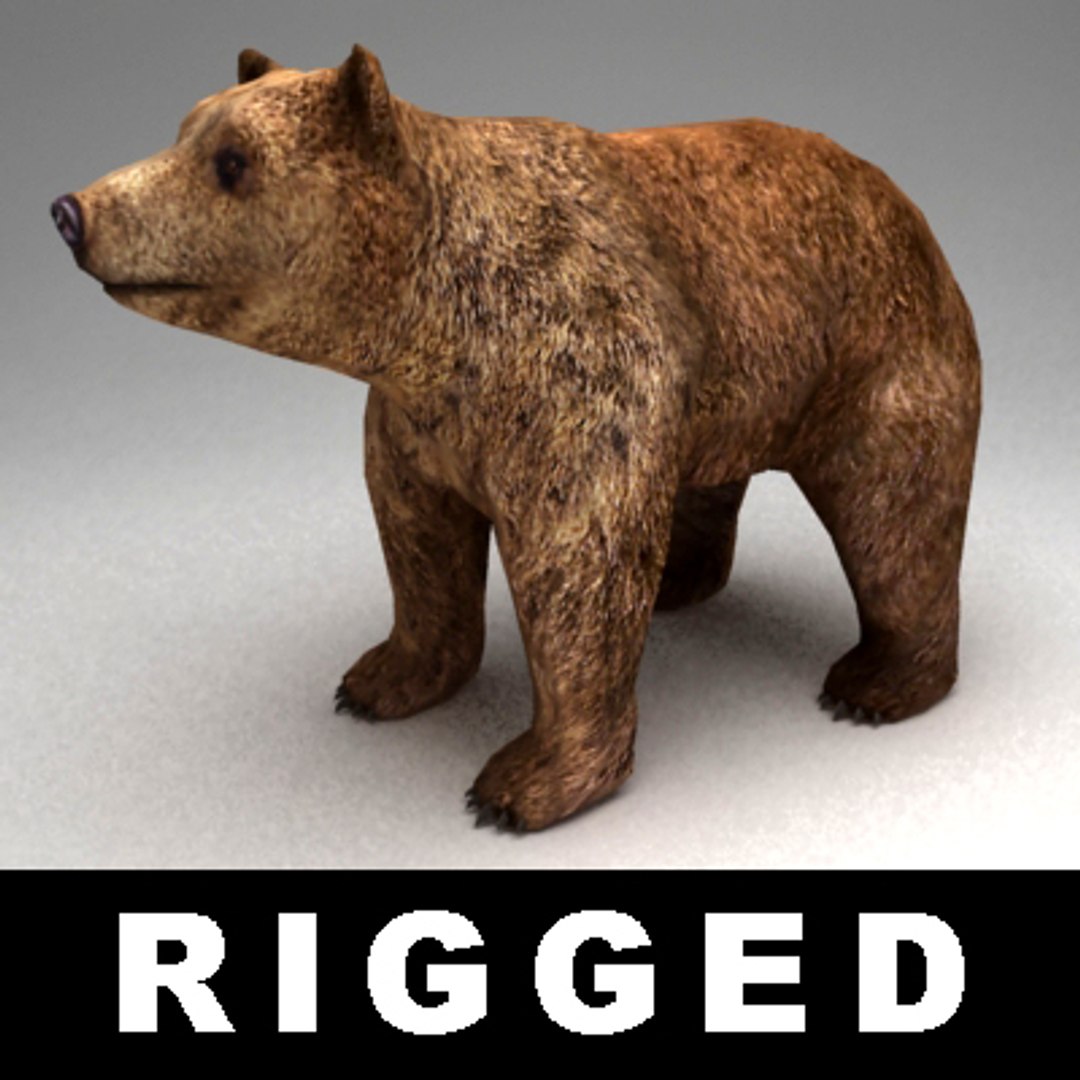 3ds max rigged bear