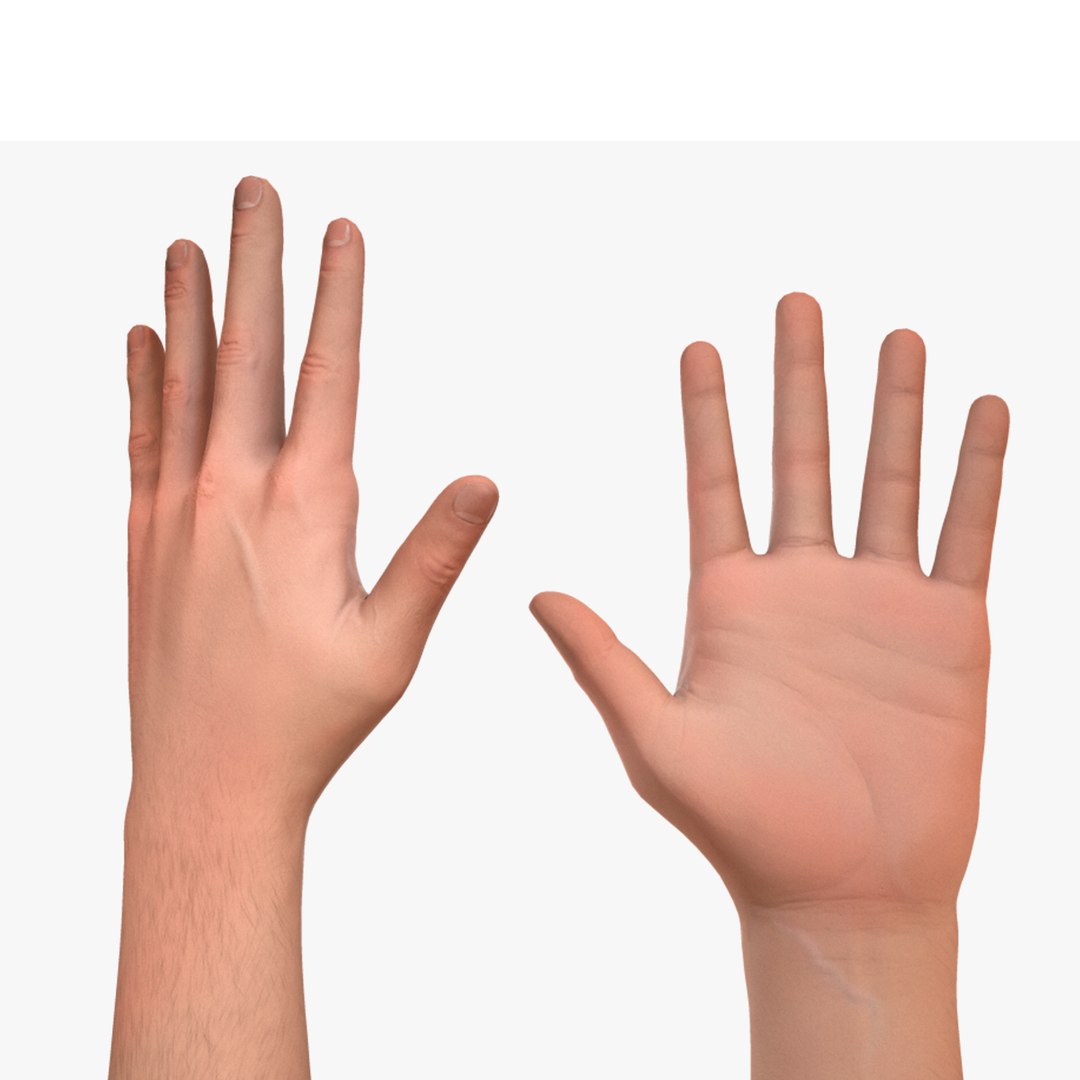 Hand man - 3D model - TurboSquid 1705563