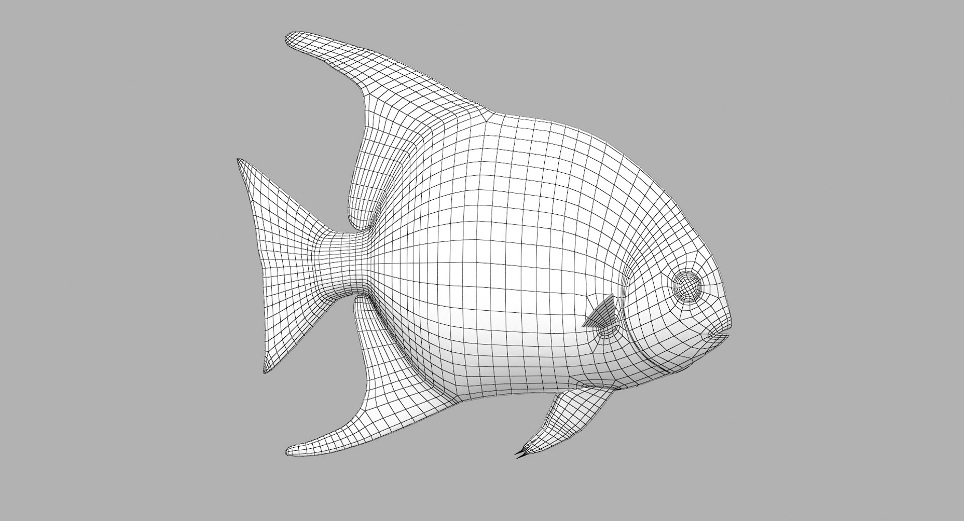 3D Spadefish Pbr - TurboSquid 1465348