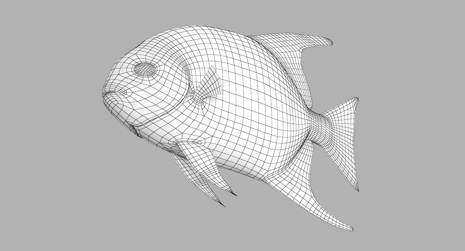 3D Spadefish Pbr - TurboSquid 1465348