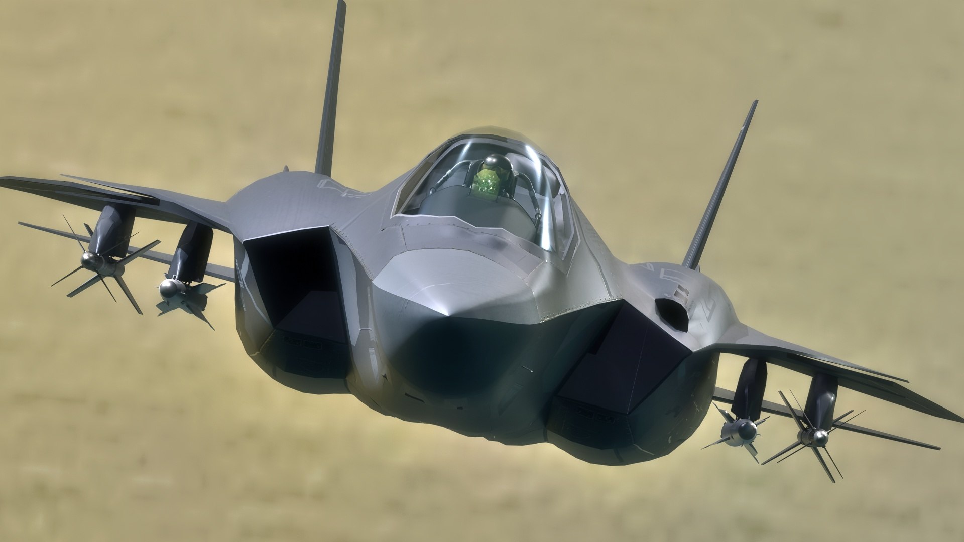 3D Model Custom Fighter Jet - Fully Rigged - Changable Decal And Text ...