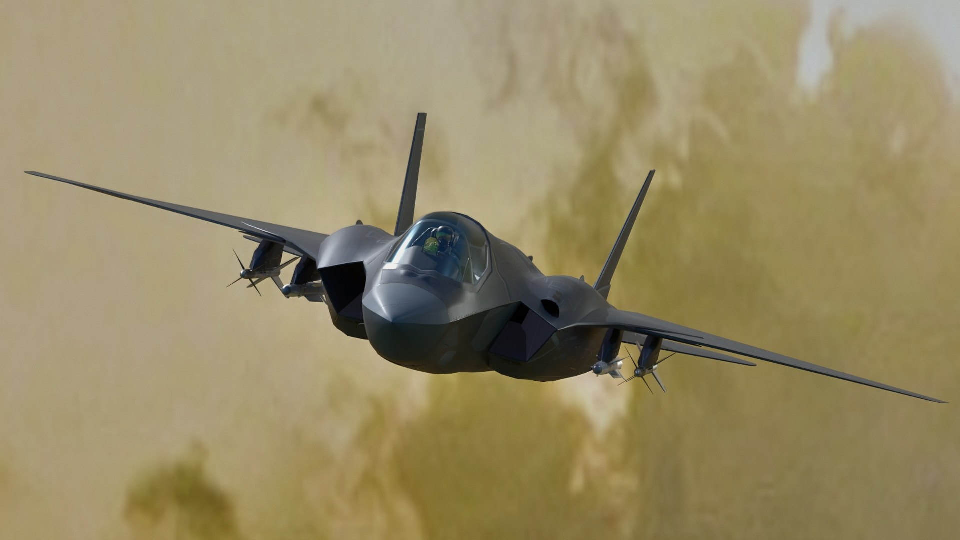 3D Model Custom Fighter Jet - Fully Rigged - Changable Decal And Text ...