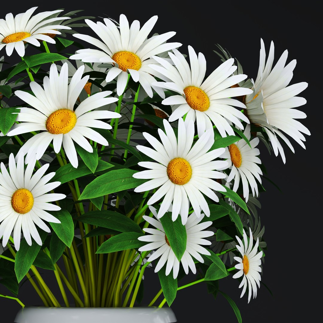 3D Indoor Plant Flower In A Pot 3D Model - TurboSquid 2157838