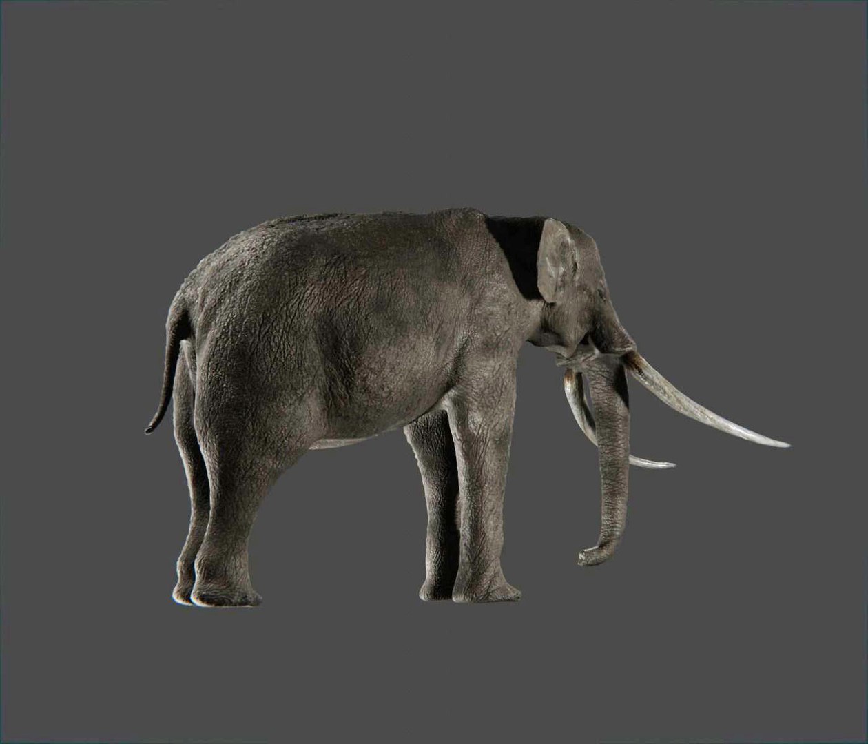 3D Elephant Ready Games Model - TurboSquid 1640847