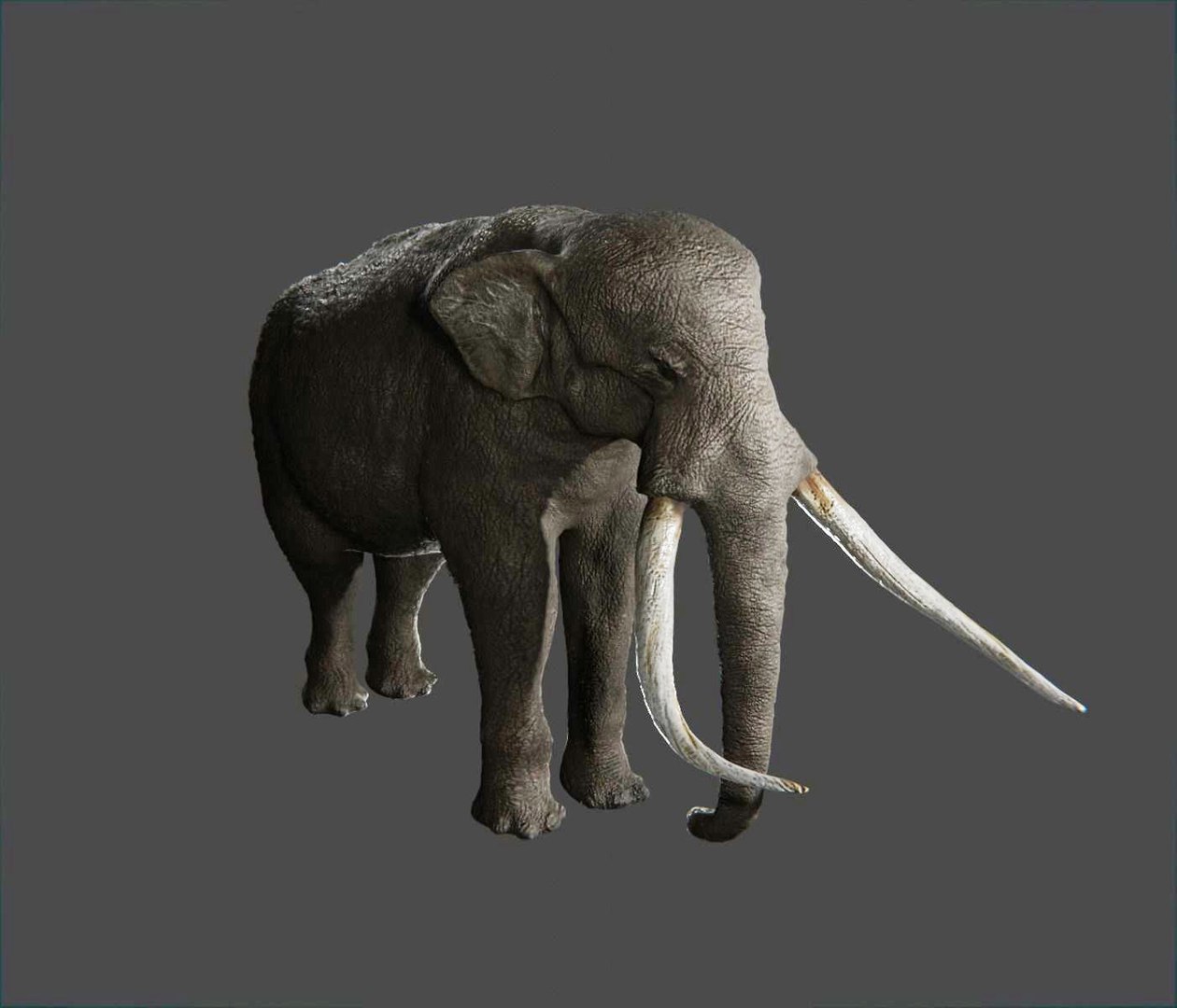 3D Elephant Ready Games Model - TurboSquid 1640847