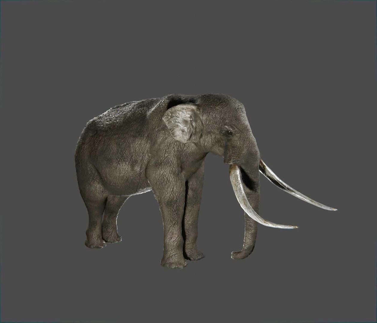 3D Elephant Ready Games Model - TurboSquid 1640847