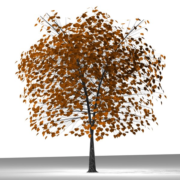 3d model plane tree