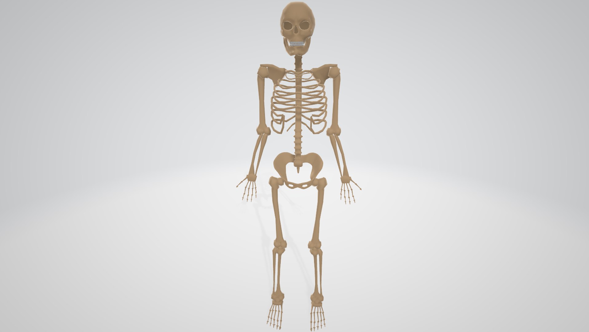 3D Skeleton Halloween Model - TurboSquid 1590797